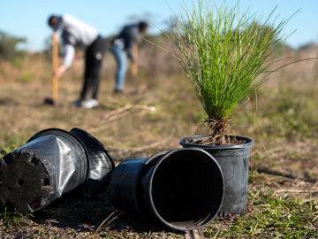 Resources Center | Investing Responsibly